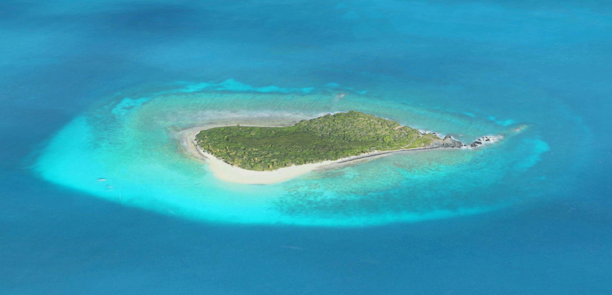 Sandy Cay - Palm Tree Charters
