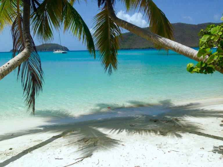 Destinations Archive - Palm Tree Charters