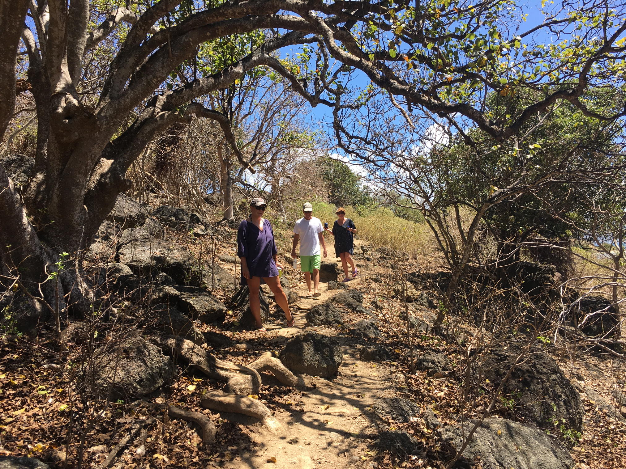 Walking - Palm Tree Charters