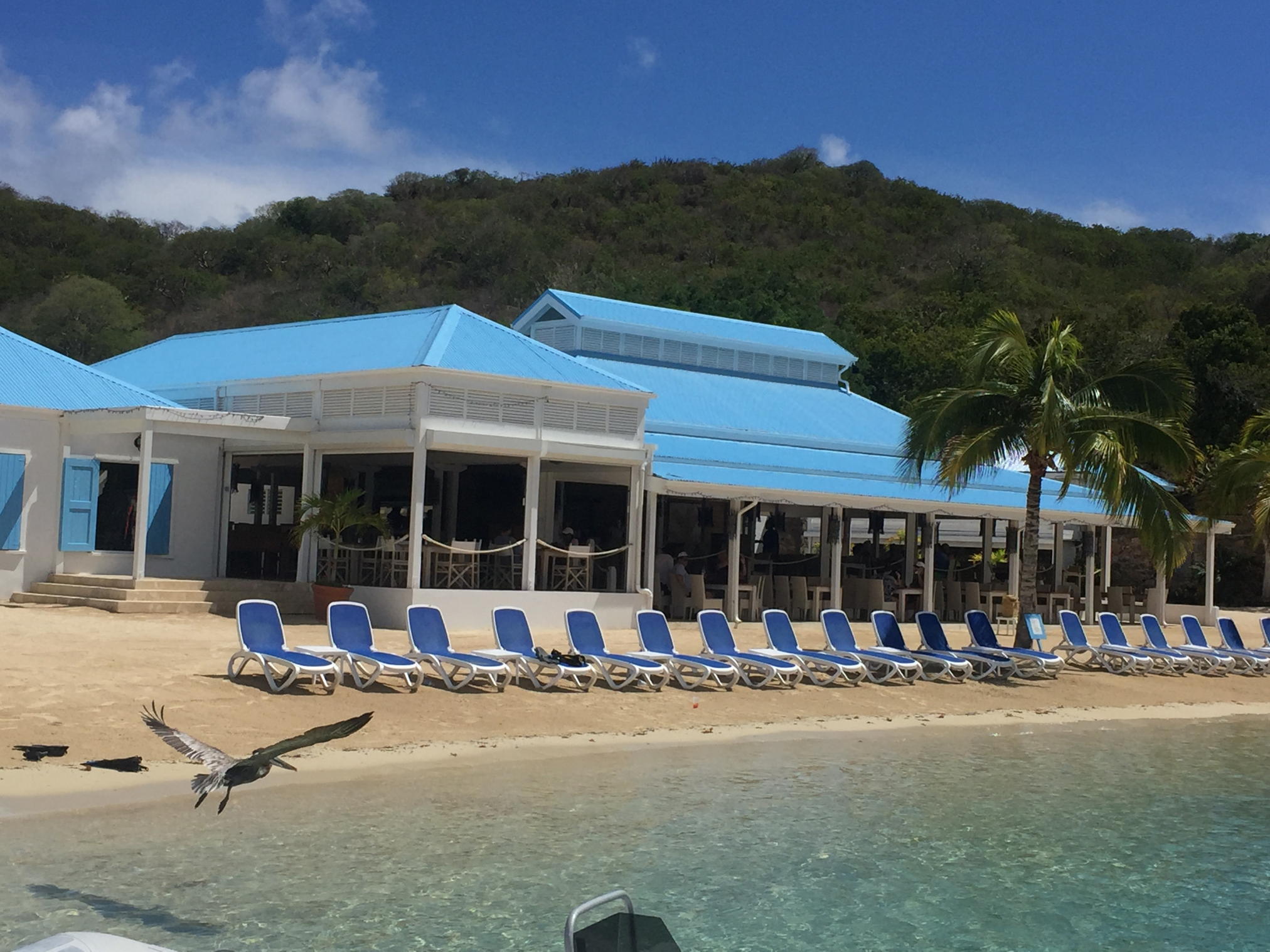 Best of the BVI's - Palm Tree Charters